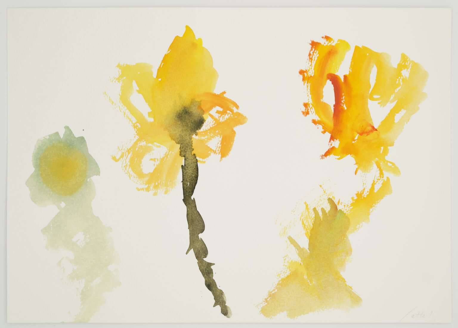 Fondation Vincent Van Gogh Arles
